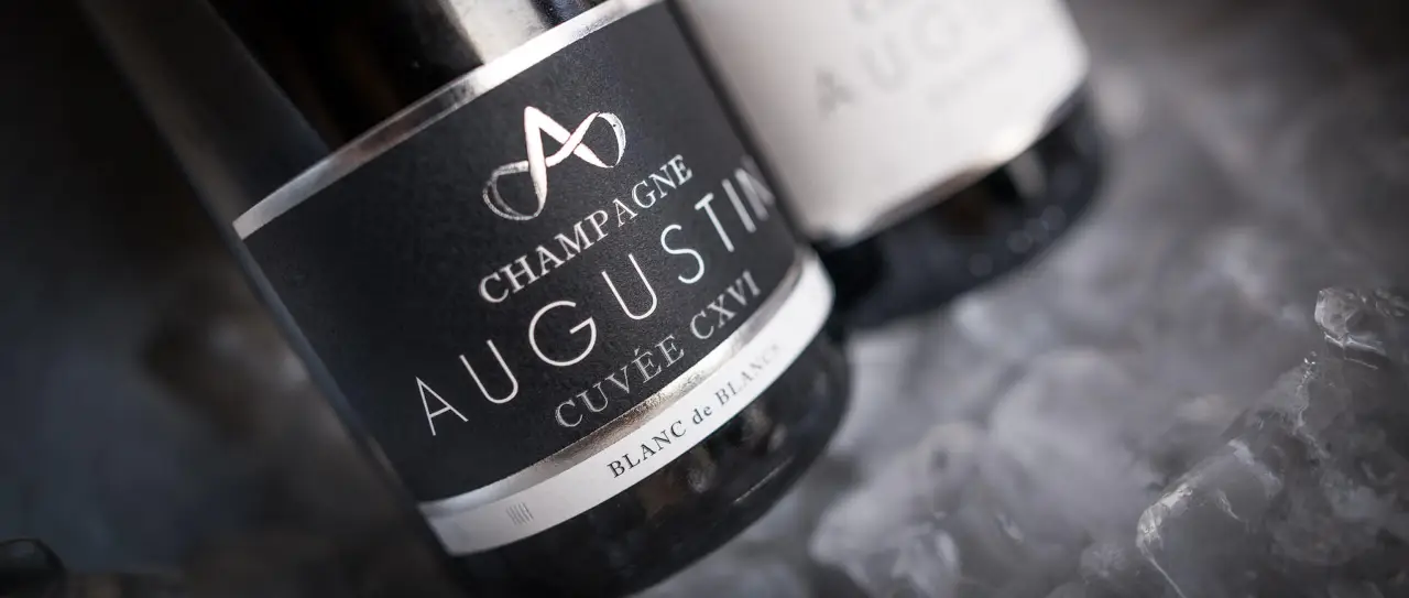Discovery of the domaine & tasting - Champagne Augustin