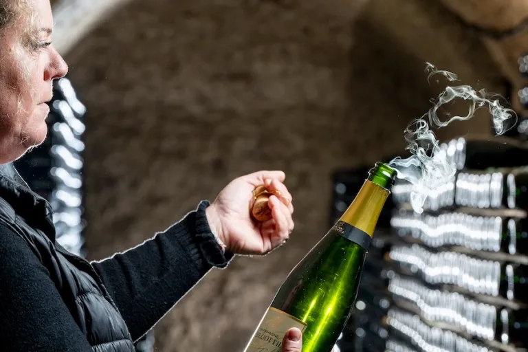 Visit Champagne H. Billiot & Fils (Ambonnay) - Tour & tasting