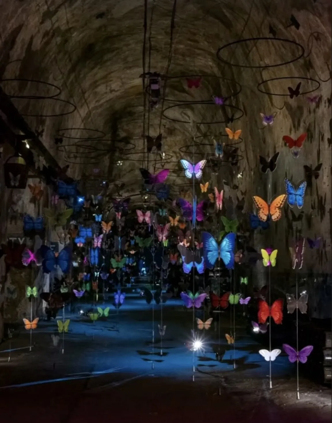 Visite cave Pommery : 👉 Tarifs et réservations