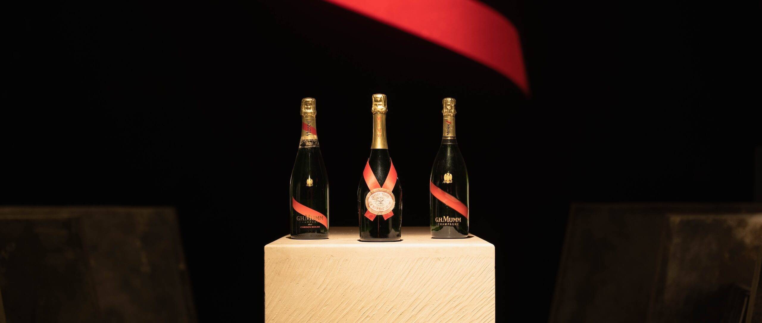 Cordon Rouge Experience (English guided Tour) - Mumm Reims
