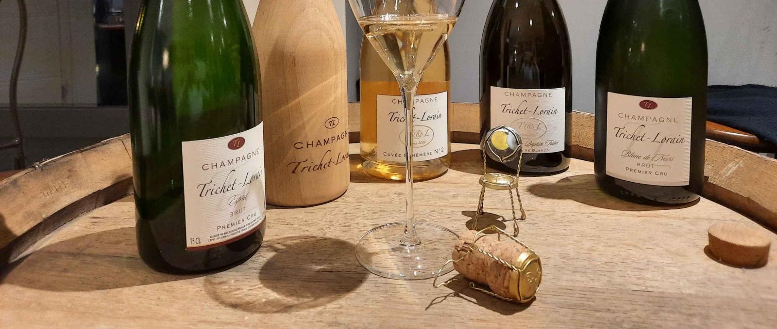 Masterclass - Champagne Trichet-Lorain