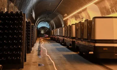Mercier Epernay - Découvrez les caves en petit train