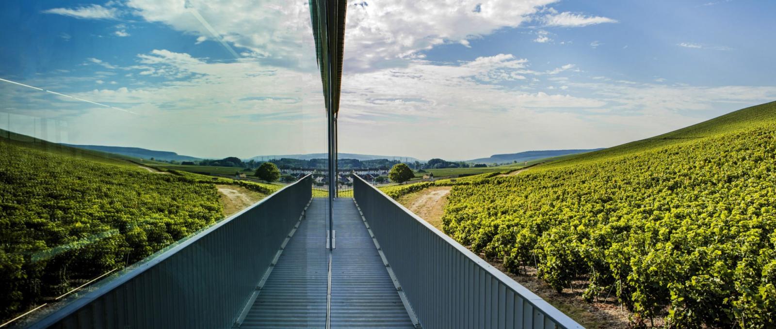 Tour en Proeverij 1 Champagne - La Cité du Champagne Collet