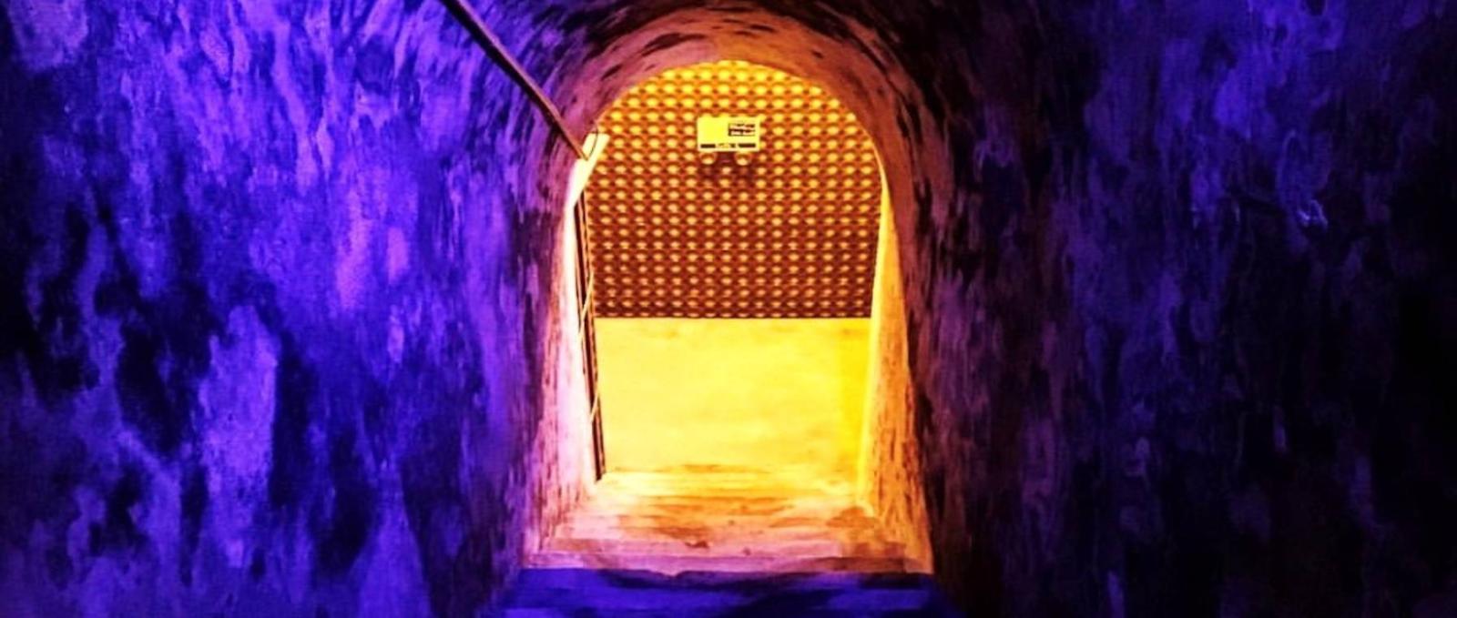 Champagne Didier Herbert - Tour & Tasting - Rilly-la-Montagne