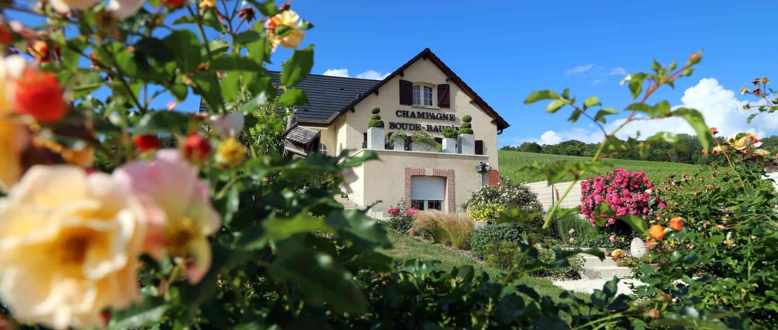 Visit Champagne Boude Baudin - Tour & tasting