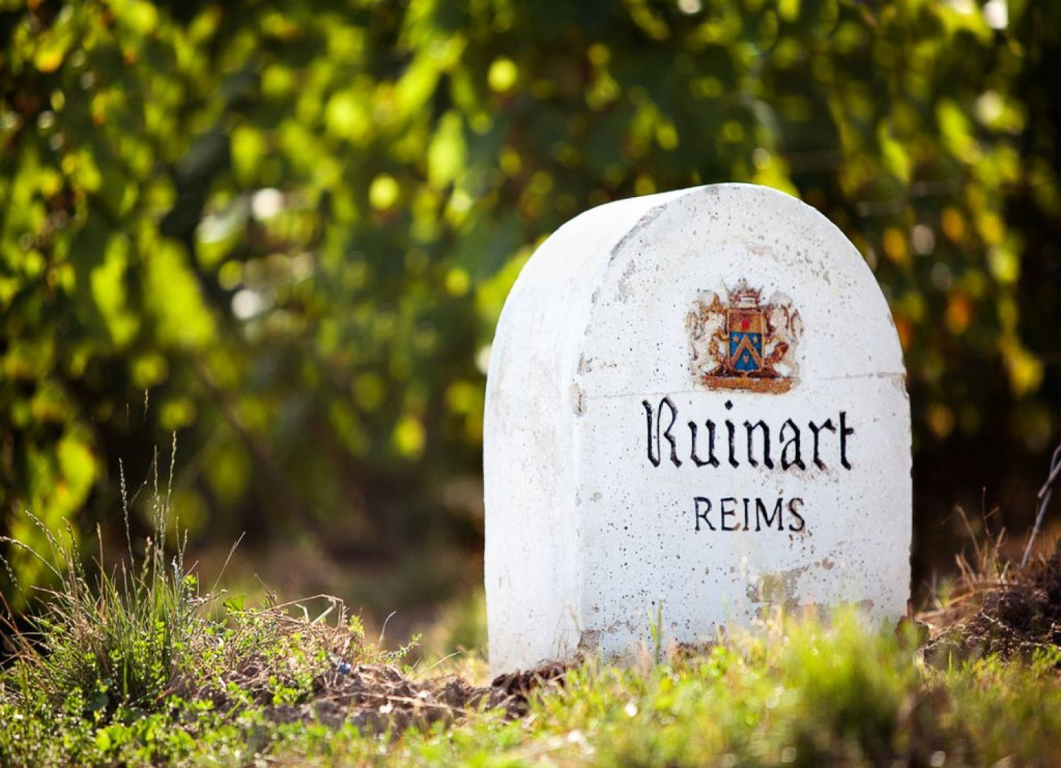 Ruinart Champagne Tour - REIMS 2024